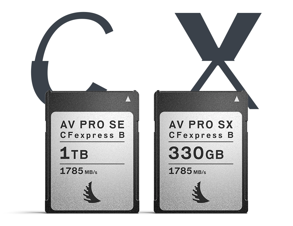 Memory cards, SSDs, SD cards & more | Angelbird